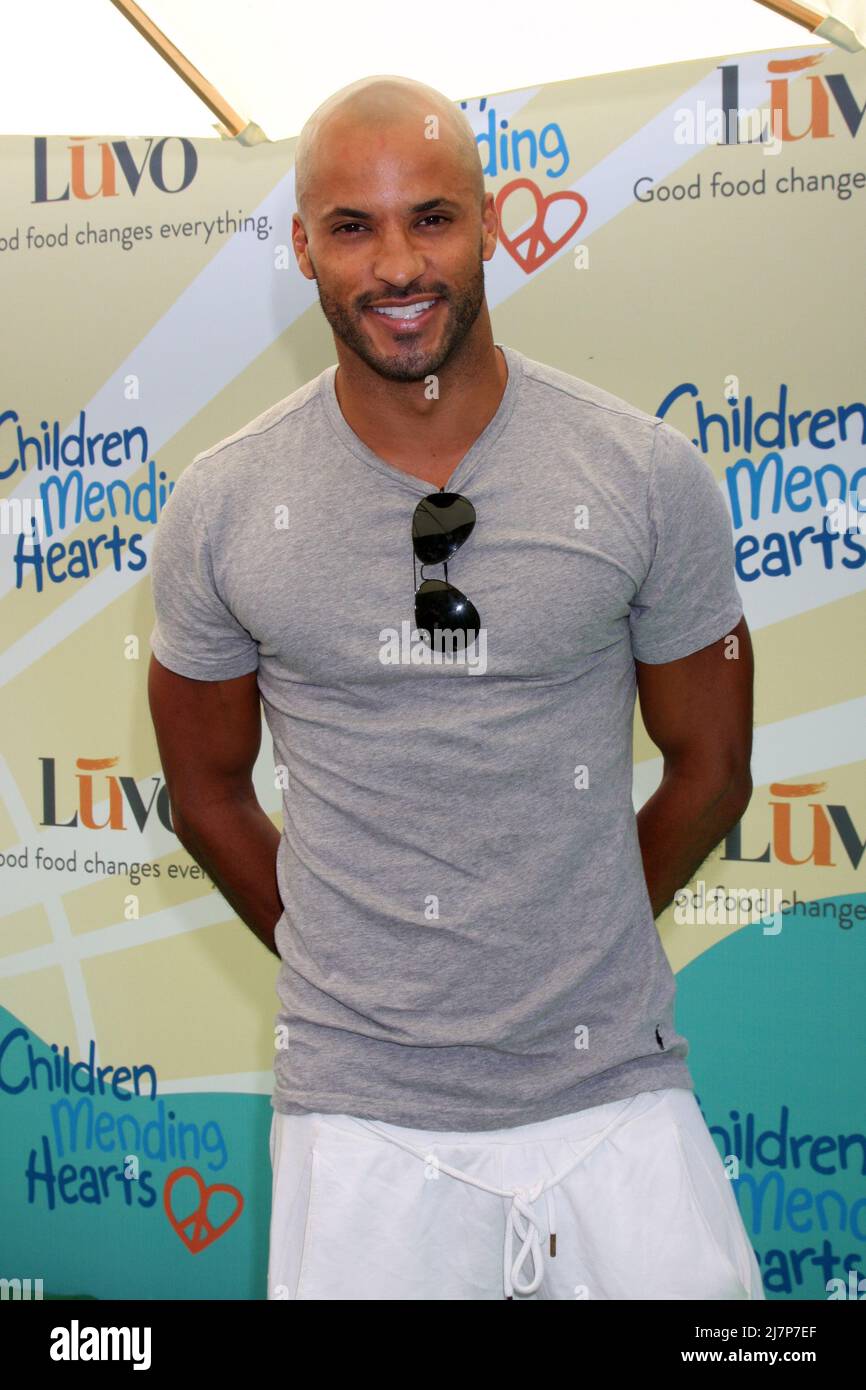 LOS ANGELES - JUN 14: Ricky Whittle at the Children Mending Hearts 6th ...