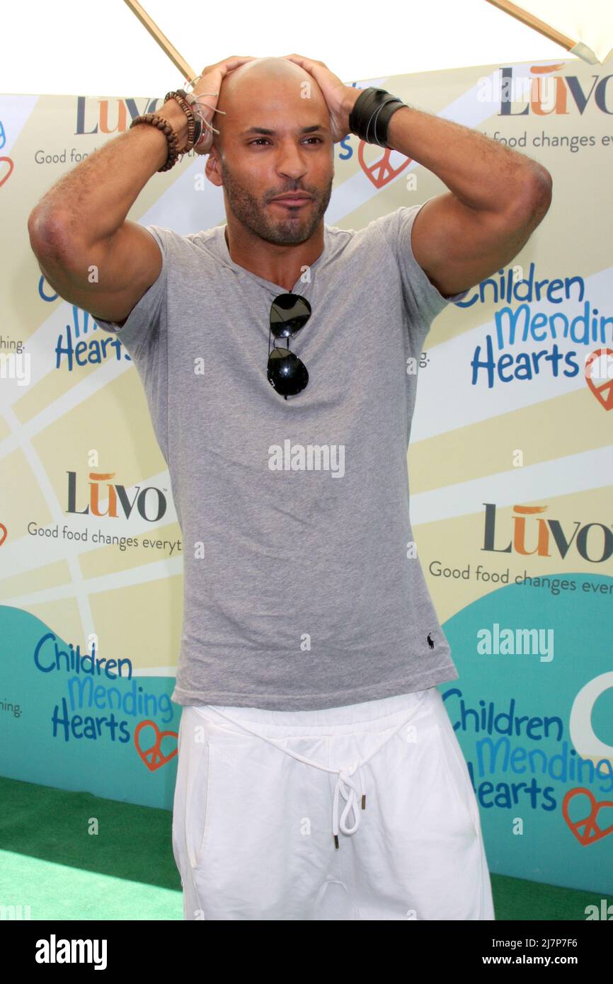 LOS ANGELES - JUN 14: Ricky Whittle at the Children Mending Hearts 6th ...