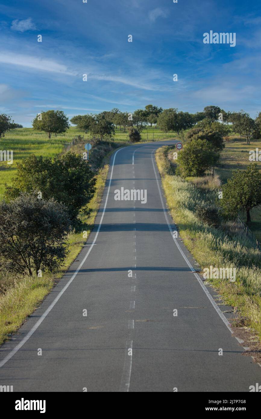 Empty roadway surrounded green hi-res stock photography and images - Alamy