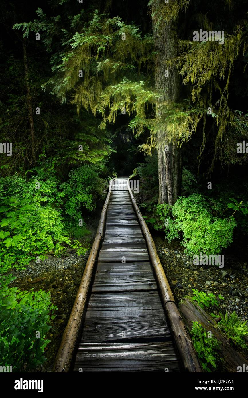 A small boardwalk en route to Lake 22, illuminated at night in a Stock ...