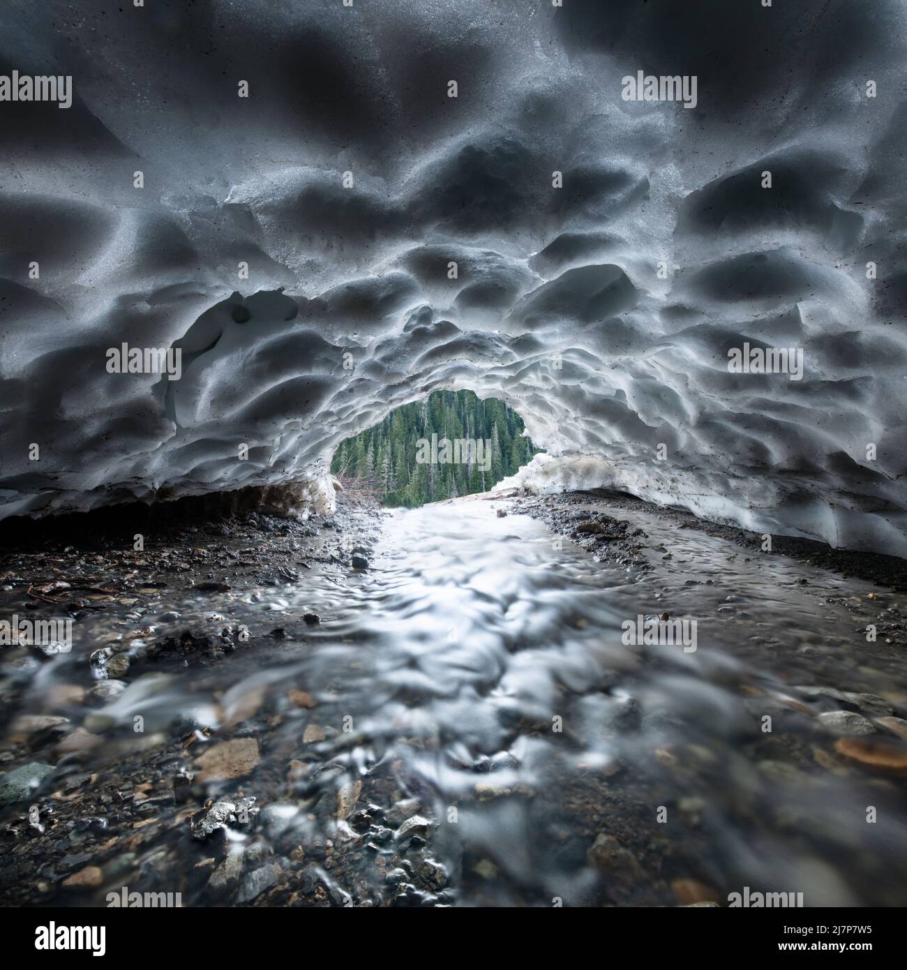 A small stream cuts a cave through the ice in the mountains near Stock ...