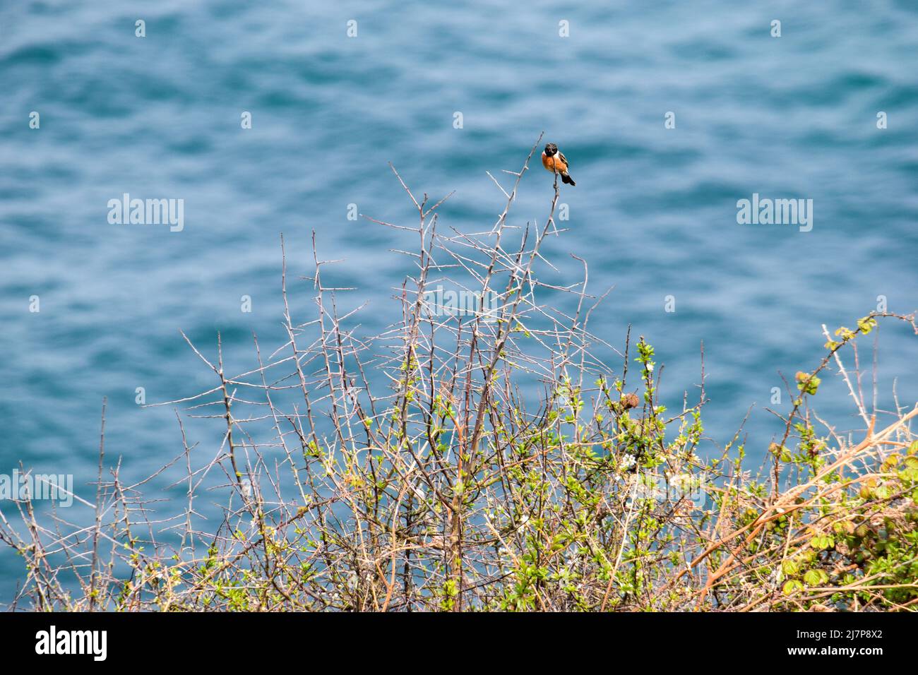 Vault Beach 290422 Stock Photo - Alamy