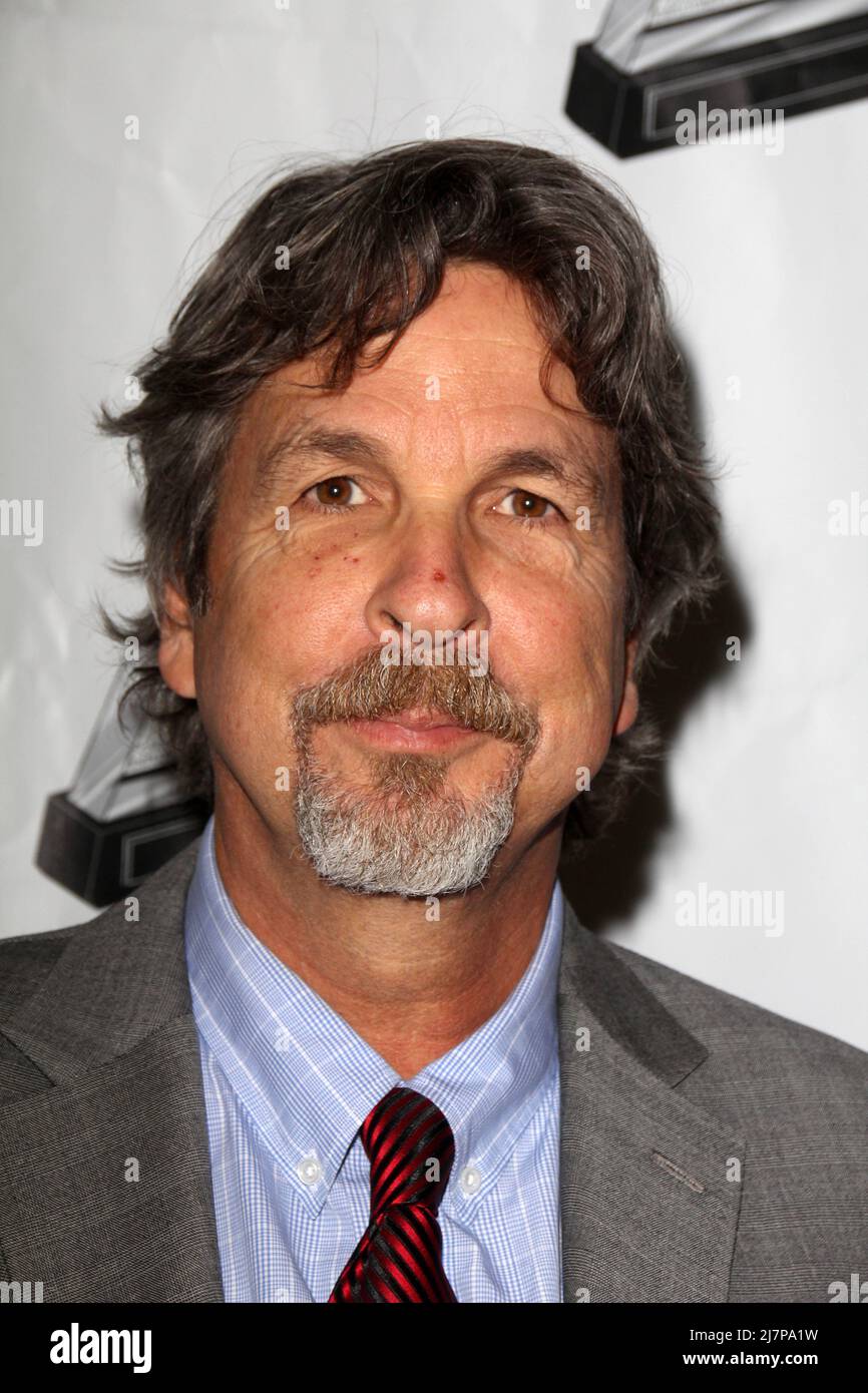 LOS ANGELES - OCT 16: Peter Farrelly at the 2014 Media Access Awards at ...