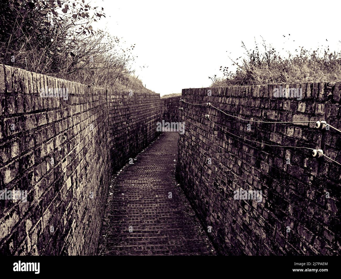Atlantic wall wwii hi-res stock photography and images - Alamy