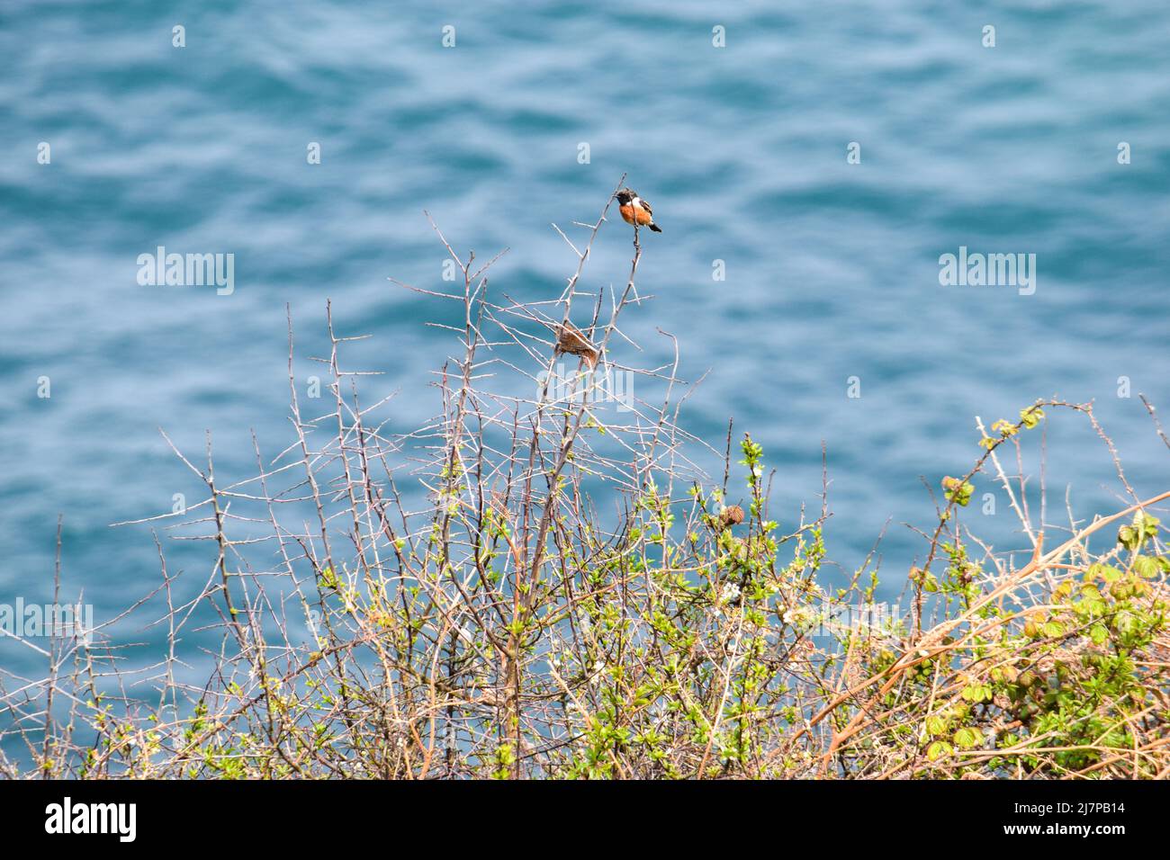 Common vault hi-res stock photography and images - Alamy