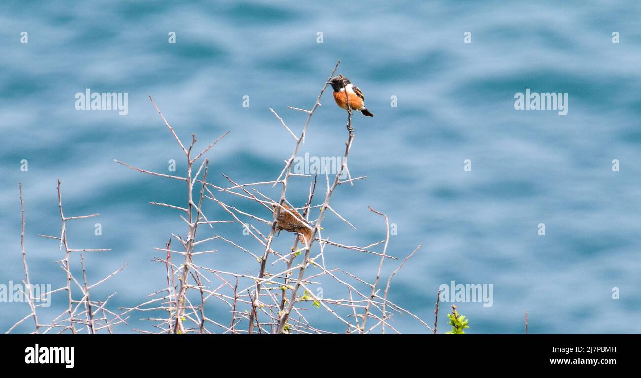 Vault Beach 290422 Stock Photo - Alamy