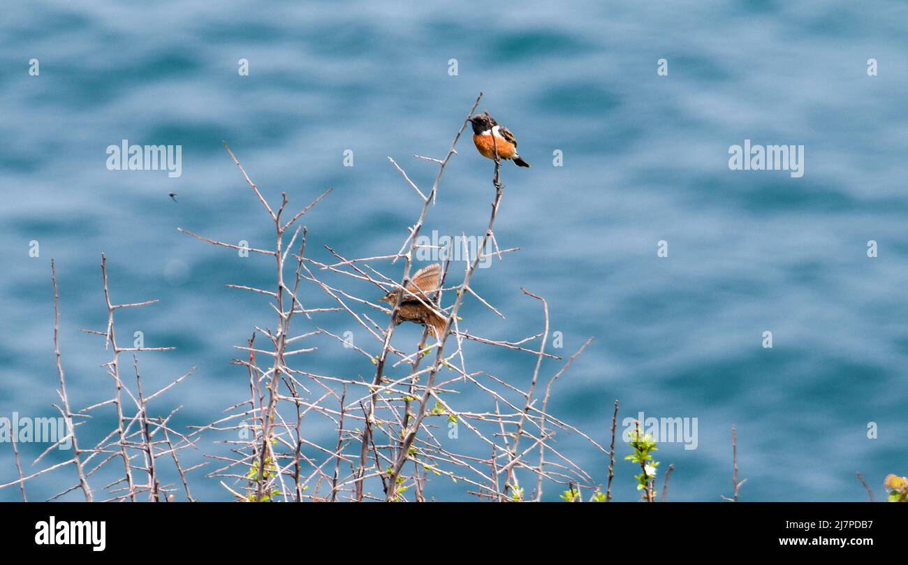Common vault hi-res stock photography and images - Alamy