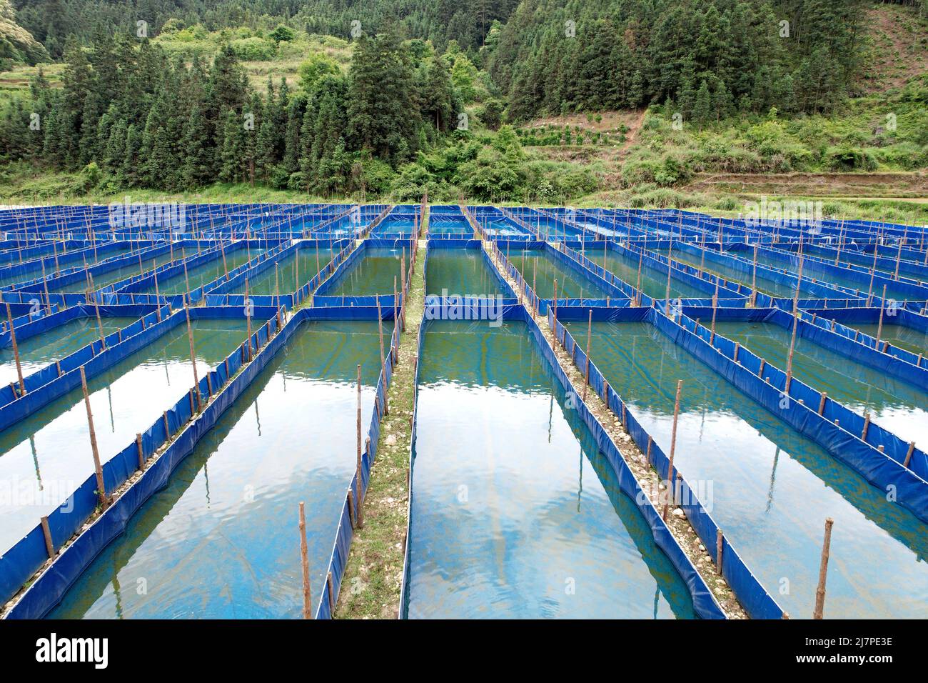 Ecological breeding hi-res stock photography and images - Alamy