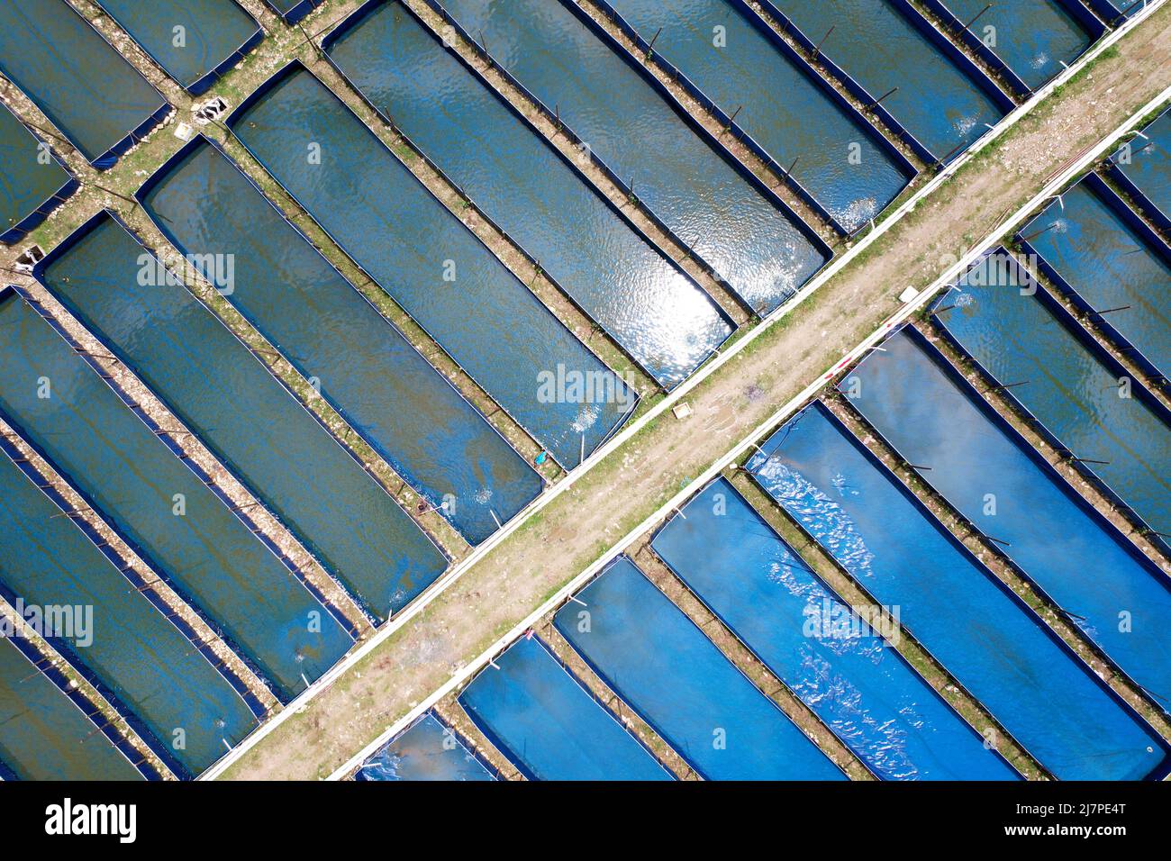 QIANDONGNAN, CHINA - MAY 10, 2022 - A staff member manages frog ...
