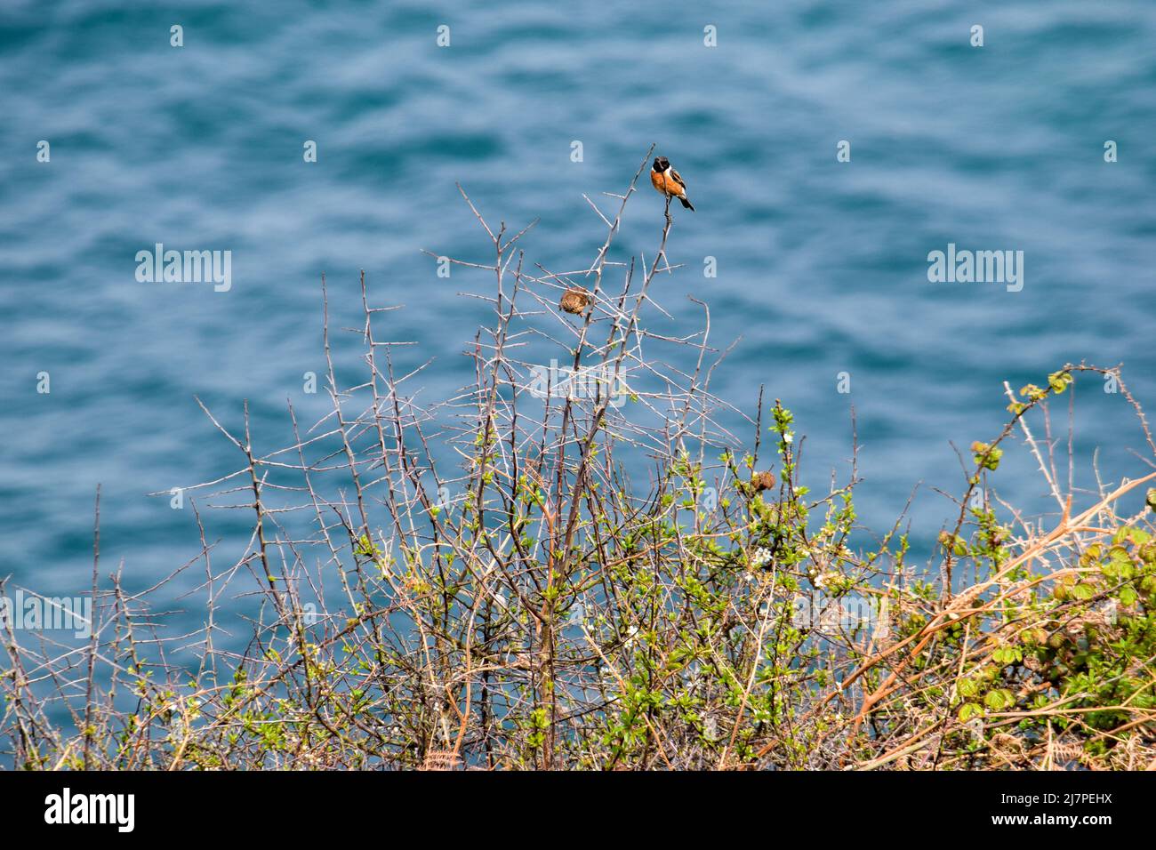 Vault Beach 290422 Stock Photo - Alamy