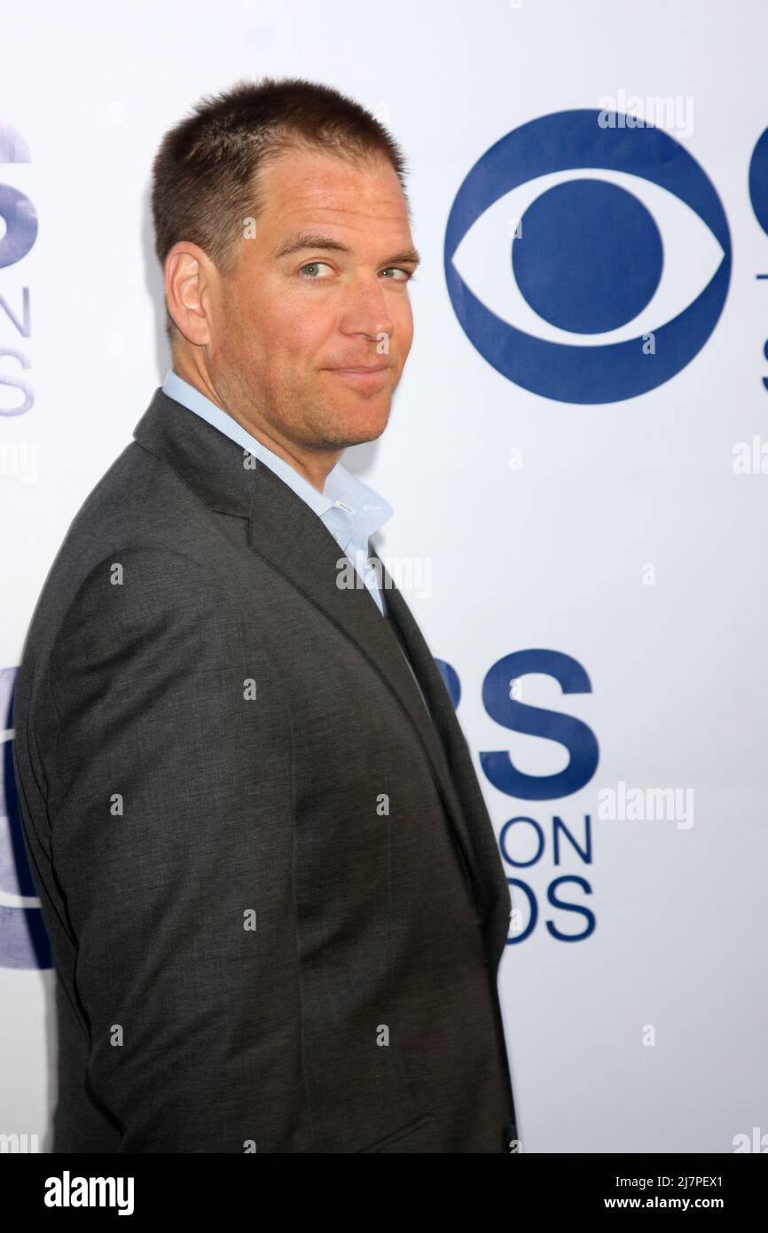 LOS ANGELES - MAY 19: Michael Weatherly at the CBS Summer Soiree at ...