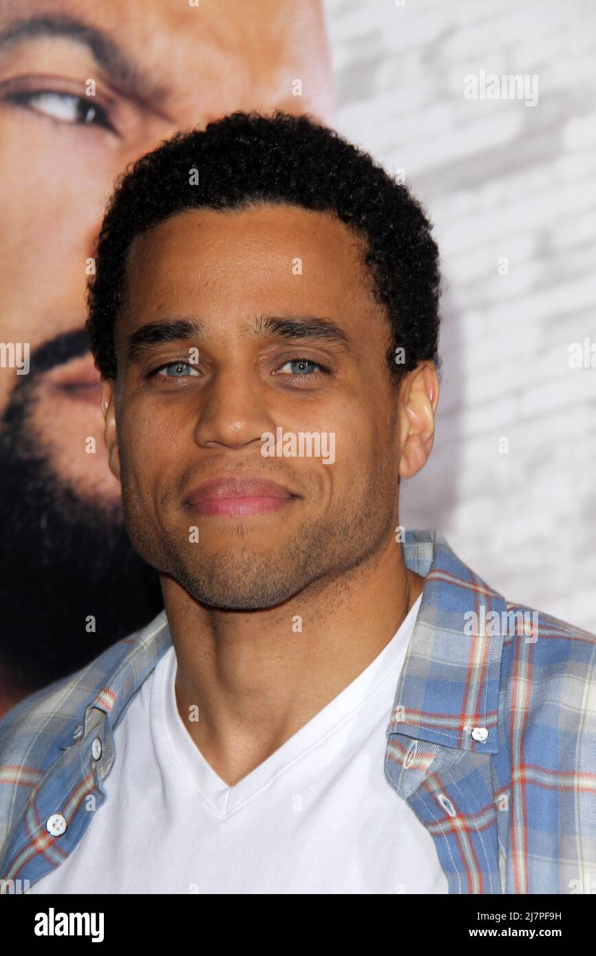 LOS ANGELES - JAN 13: Michael Ealy at the "Ride Along" World Premiere ...