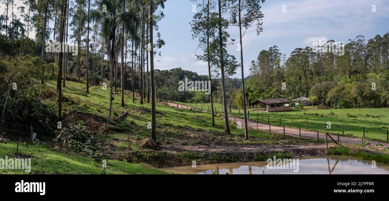 country landscape with lake, grass, trees Stock Photo - Alamy