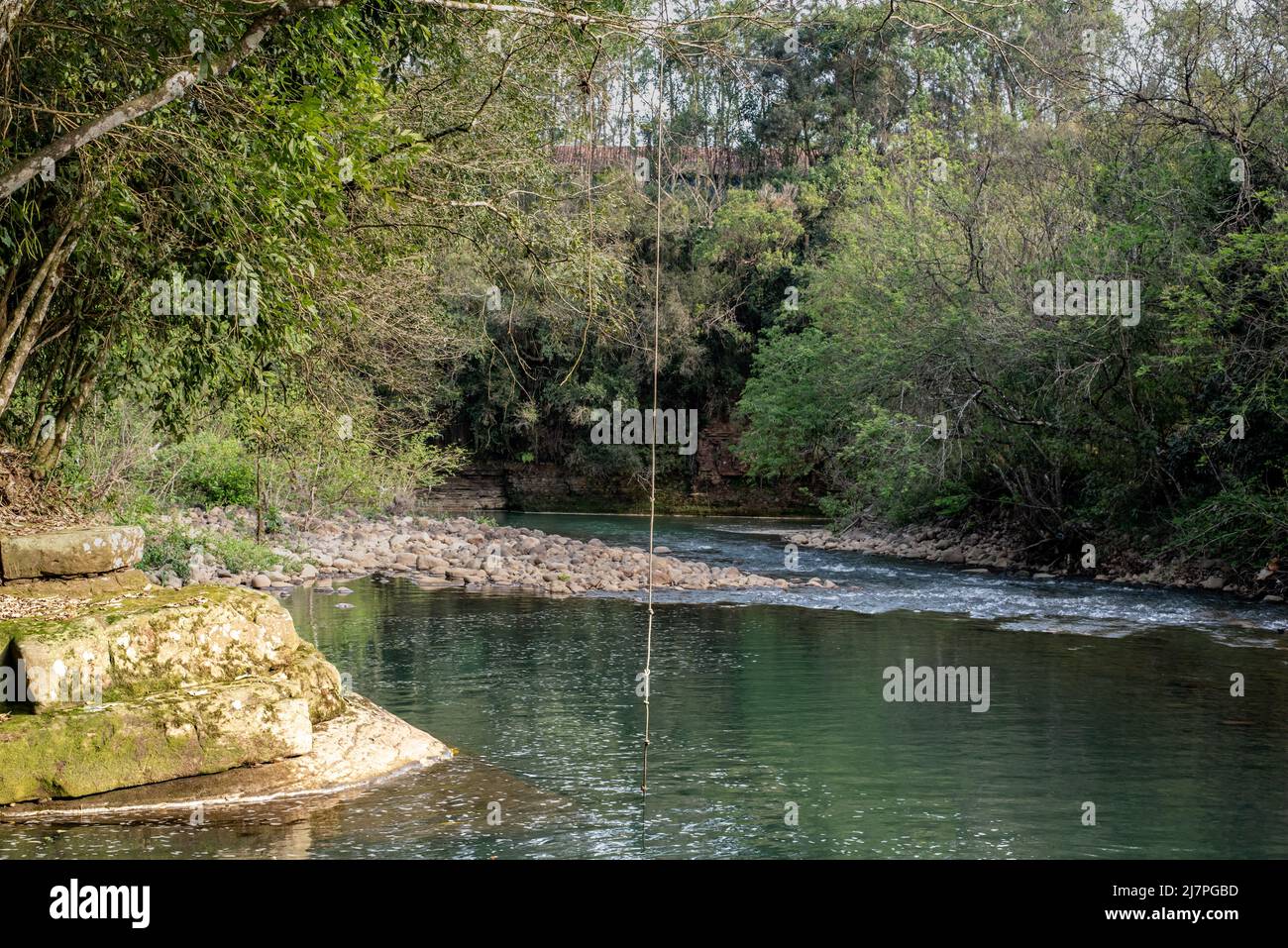 Rope tree swing over a river Stock Photo - Alamy