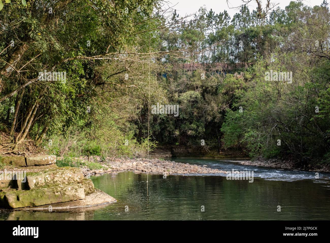 Rope tree swing over a river Stock Photo - Alamy