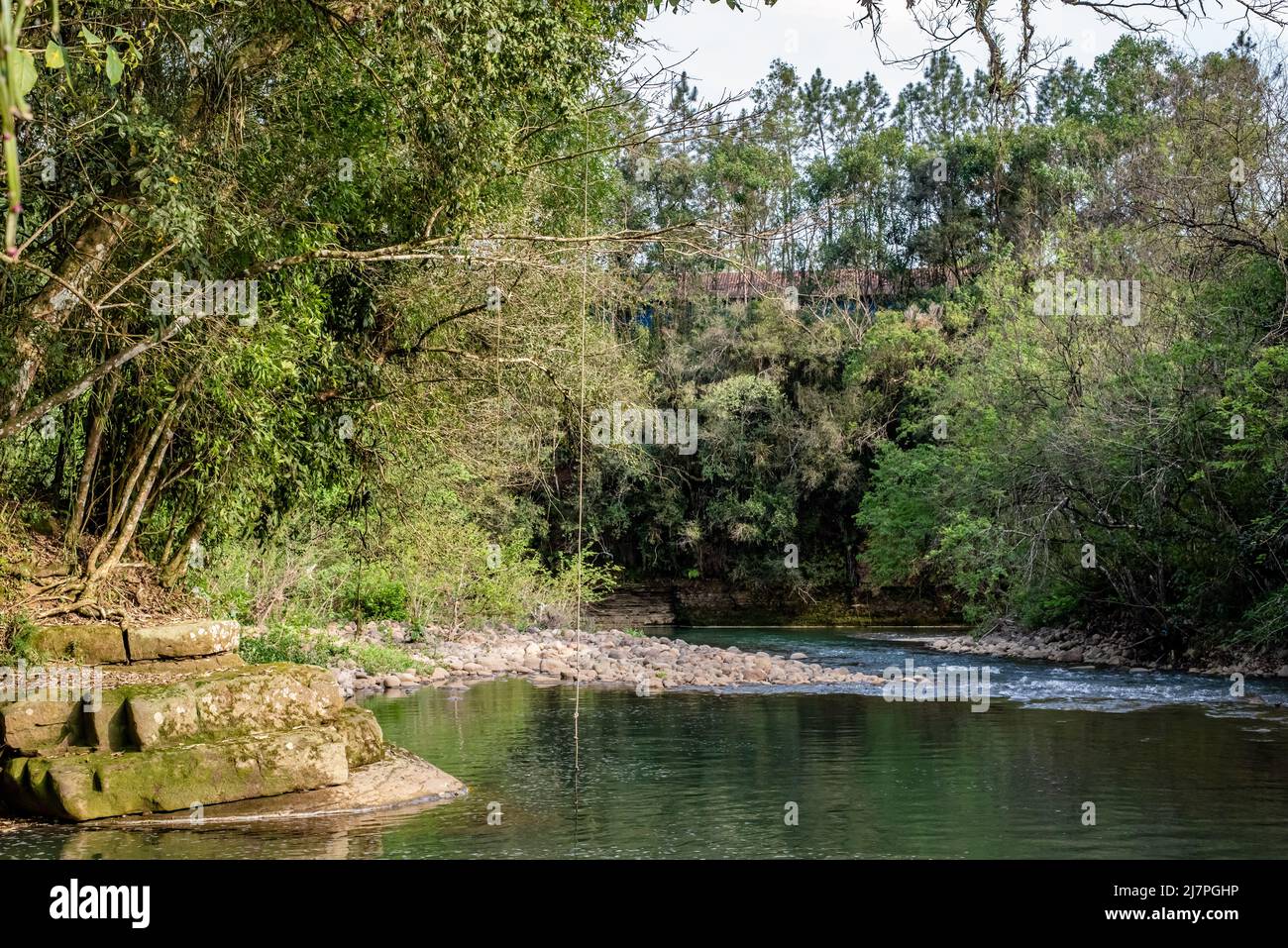 Rope tree swing over a river Stock Photo - Alamy