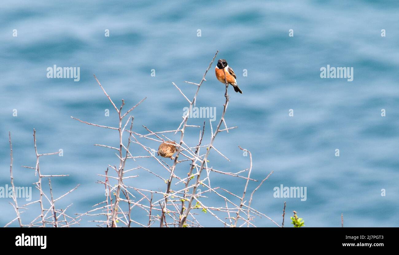 Vault Beach 290422 Stock Photo - Alamy
