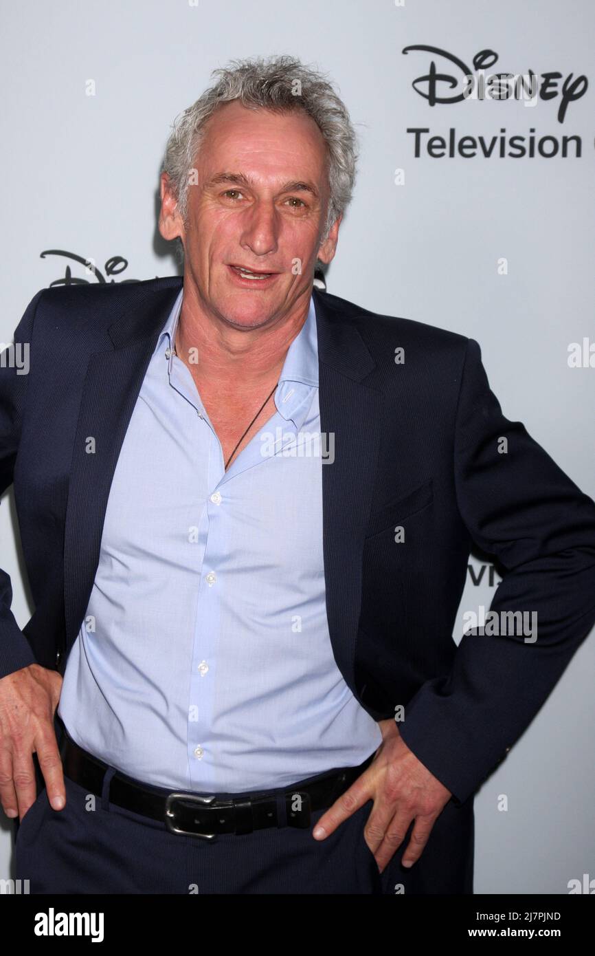 LOS ANGELES - JAN 17: Matt Craven at the Disney-ABC Television Group ...