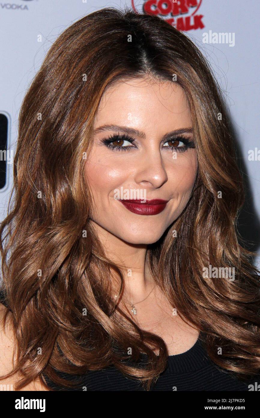 LOS ANGELES - DEC 5: Maria Menounos at the Maria & Kevin's 1st Annual ...