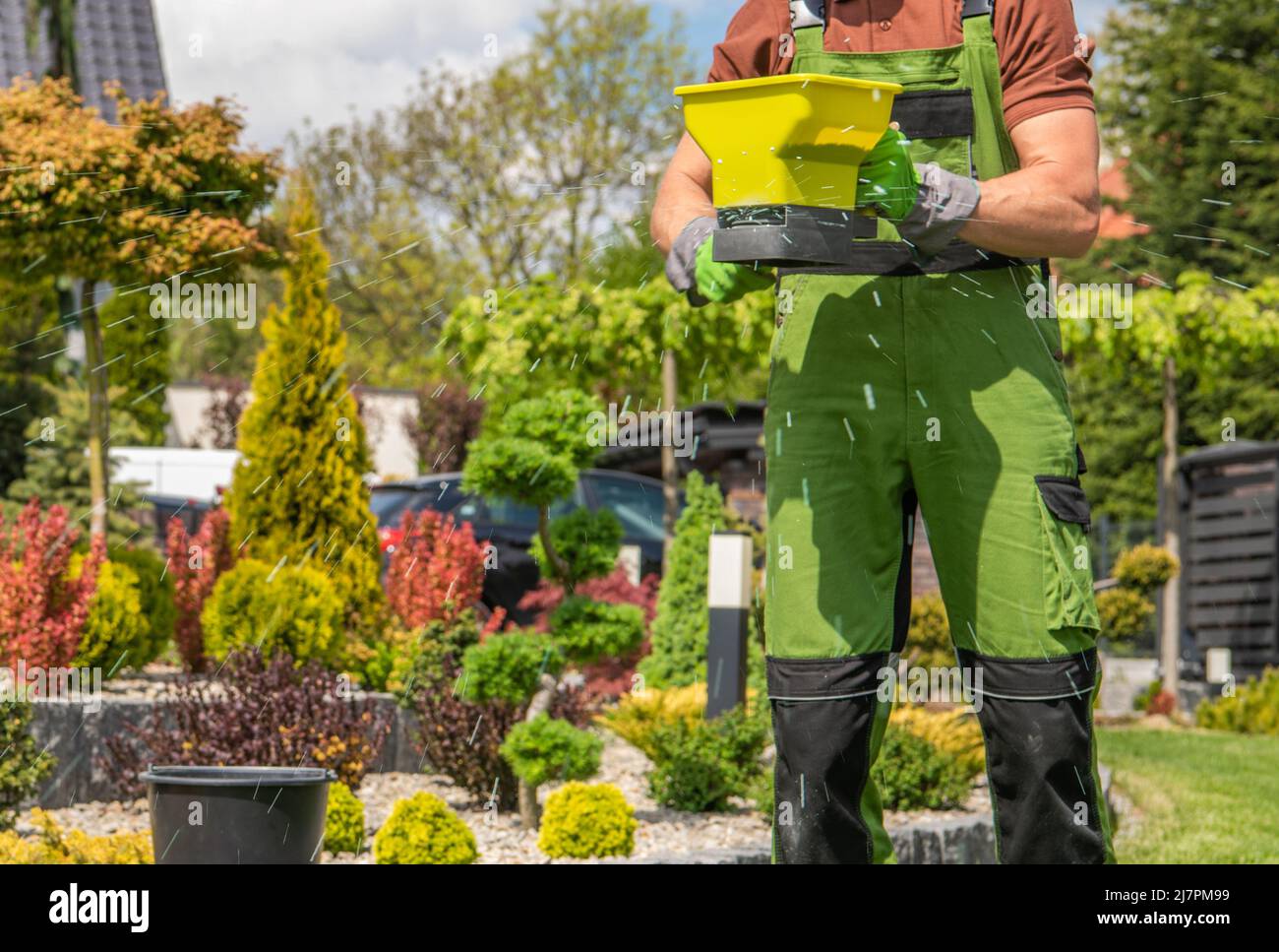 Residential Backyard Garden Grass Fertilization Performed by ...