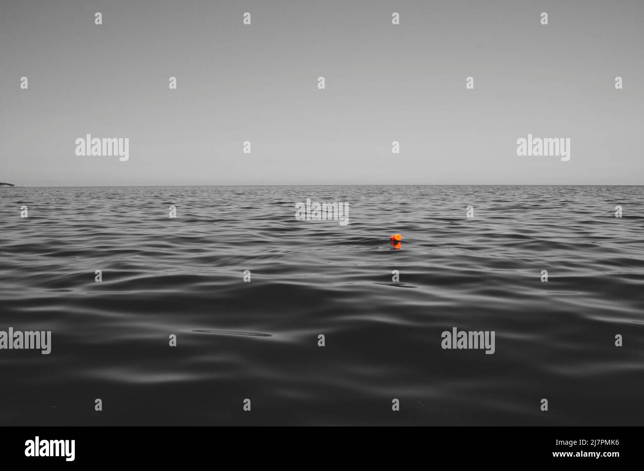 Black and white photo of the ocean meeting the sky, with a speck of ...