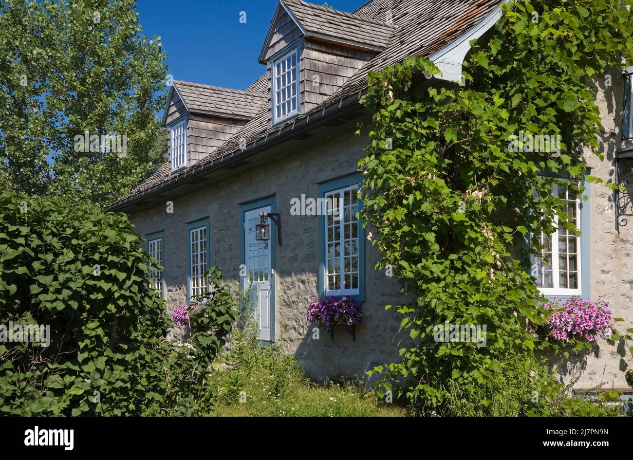 Old circa 1850 Canadiana cottage style fieldstone home with blue and ...