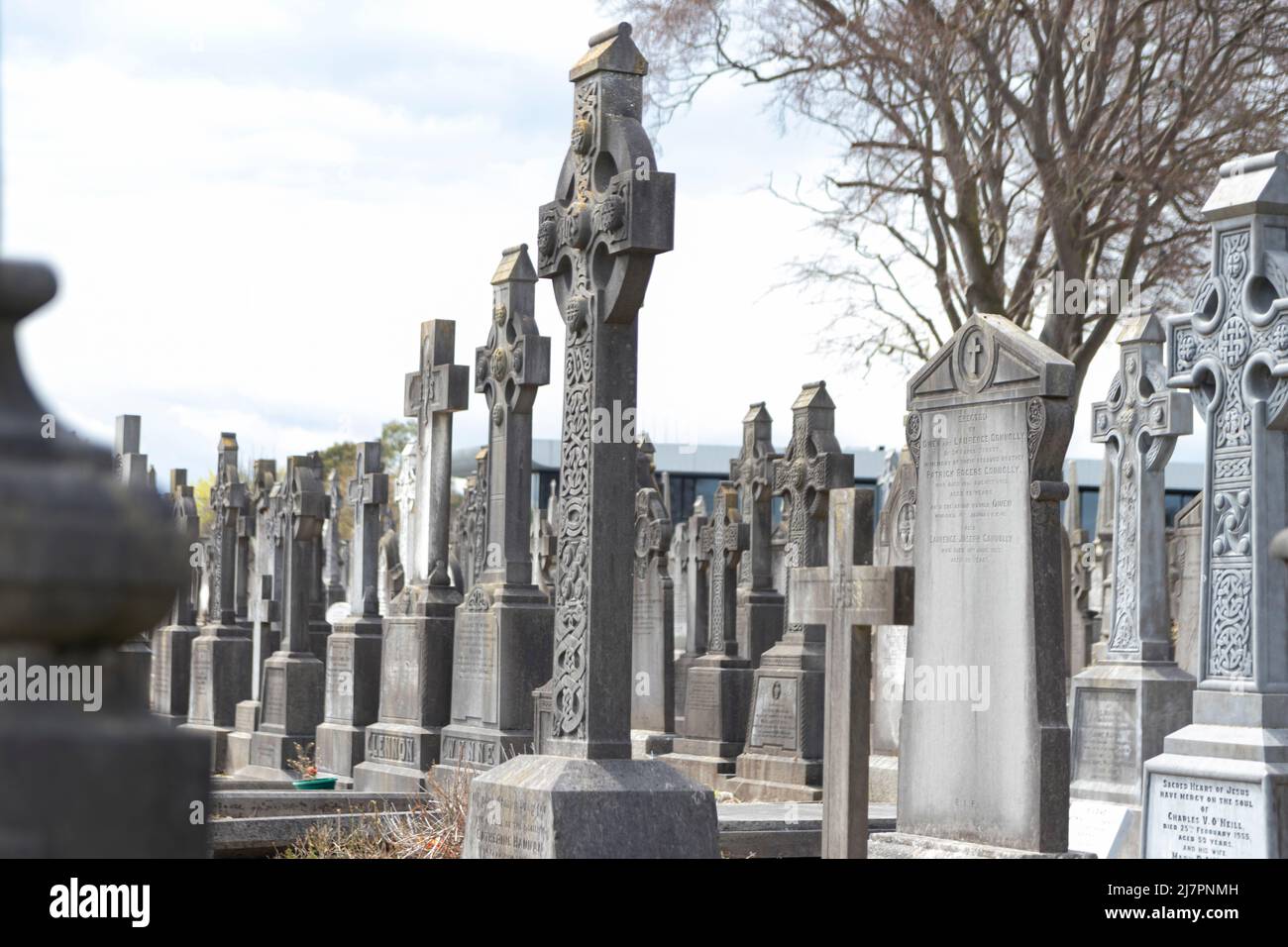 Tombstones and gravesites at Glasnevin Cemetery in Dublin, Ireland ...