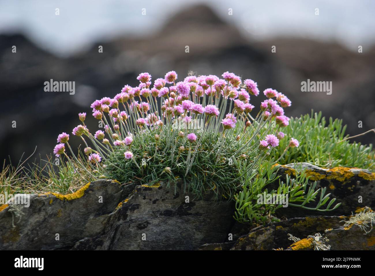 Vault Beach 290422 Stock Photo - Alamy