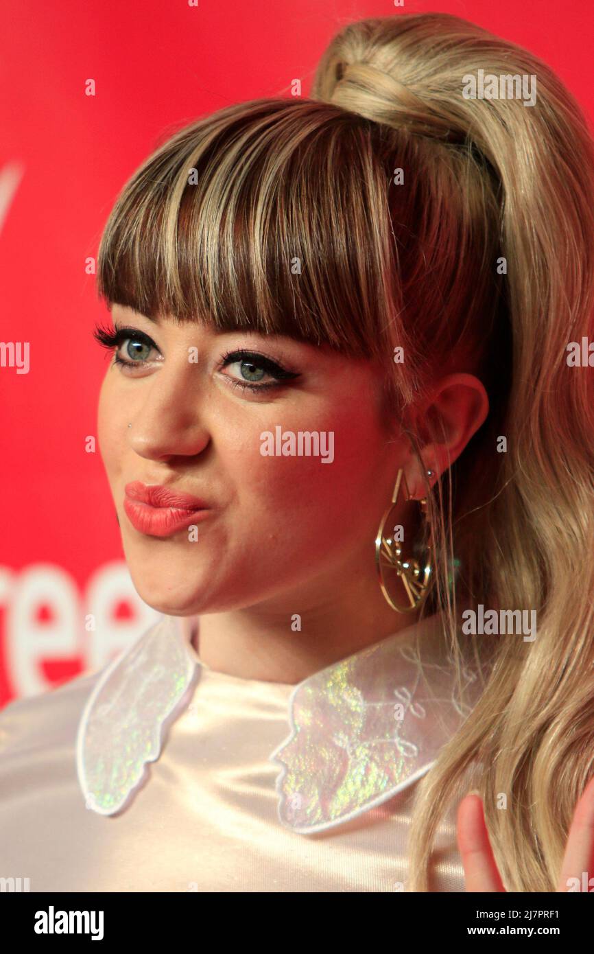LOS ANGELES - JAN 24: Leah McFall at the 2014 MusiCares Person of the ...