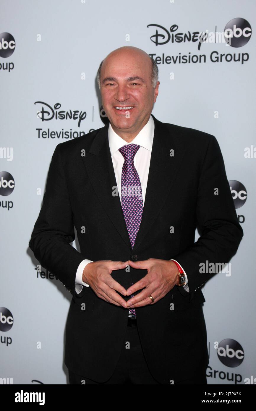 LOS ANGELES - JAN 17: Kevin O'Leary at the Disney-ABC Television Group ...