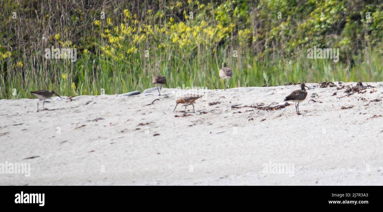 Vault Beach 290422 Stock Photo - Alamy