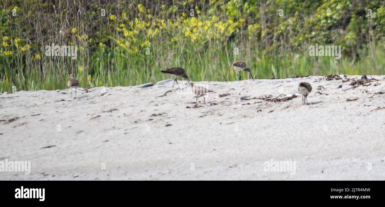 Vault Beach 290422 Stock Photo - Alamy