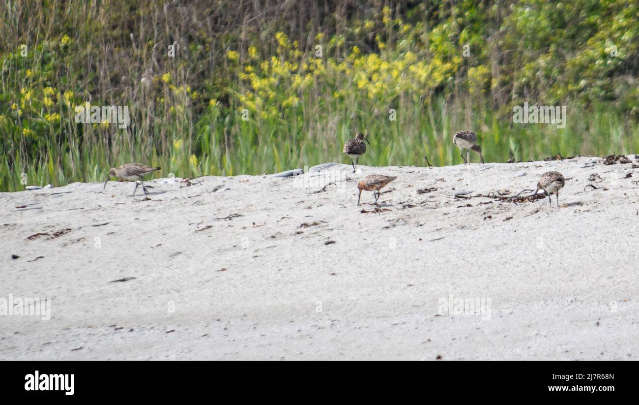 Vault Beach 290422 Stock Photo - Alamy