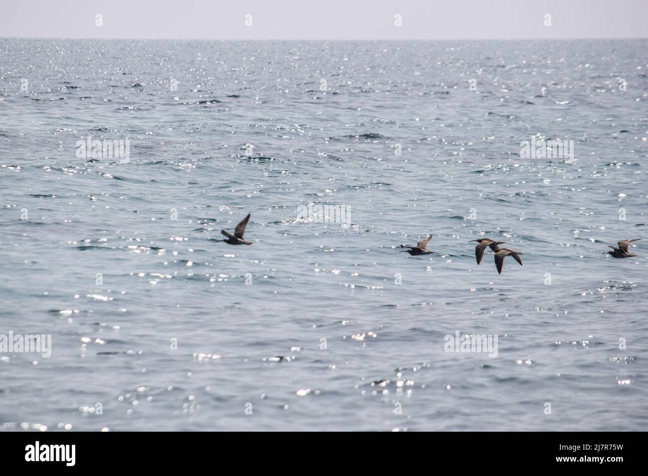 Vault Beach 290422 Stock Photo - Alamy