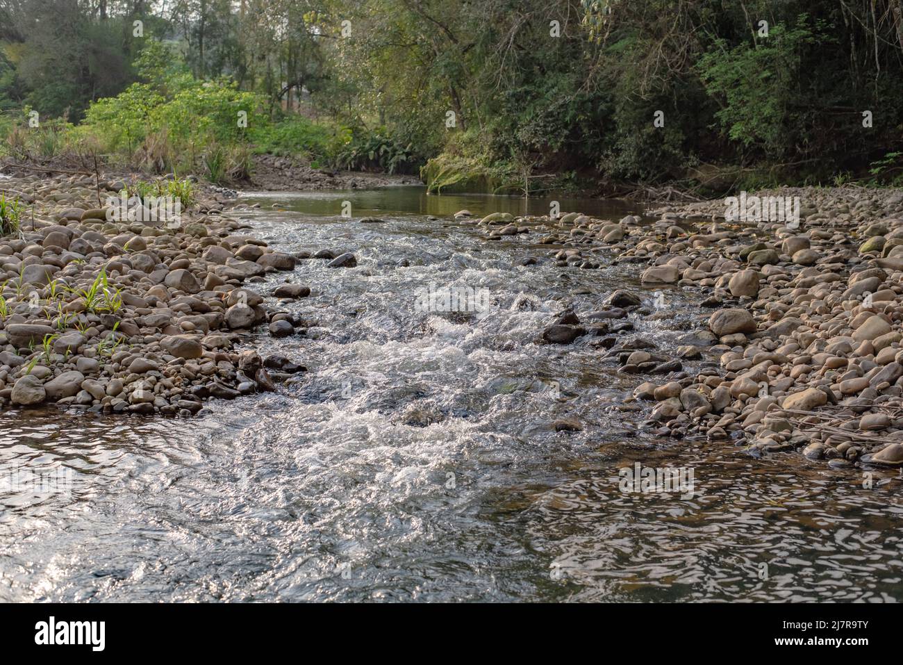 Pebbles in stream hi-res stock photography and images - Alamy