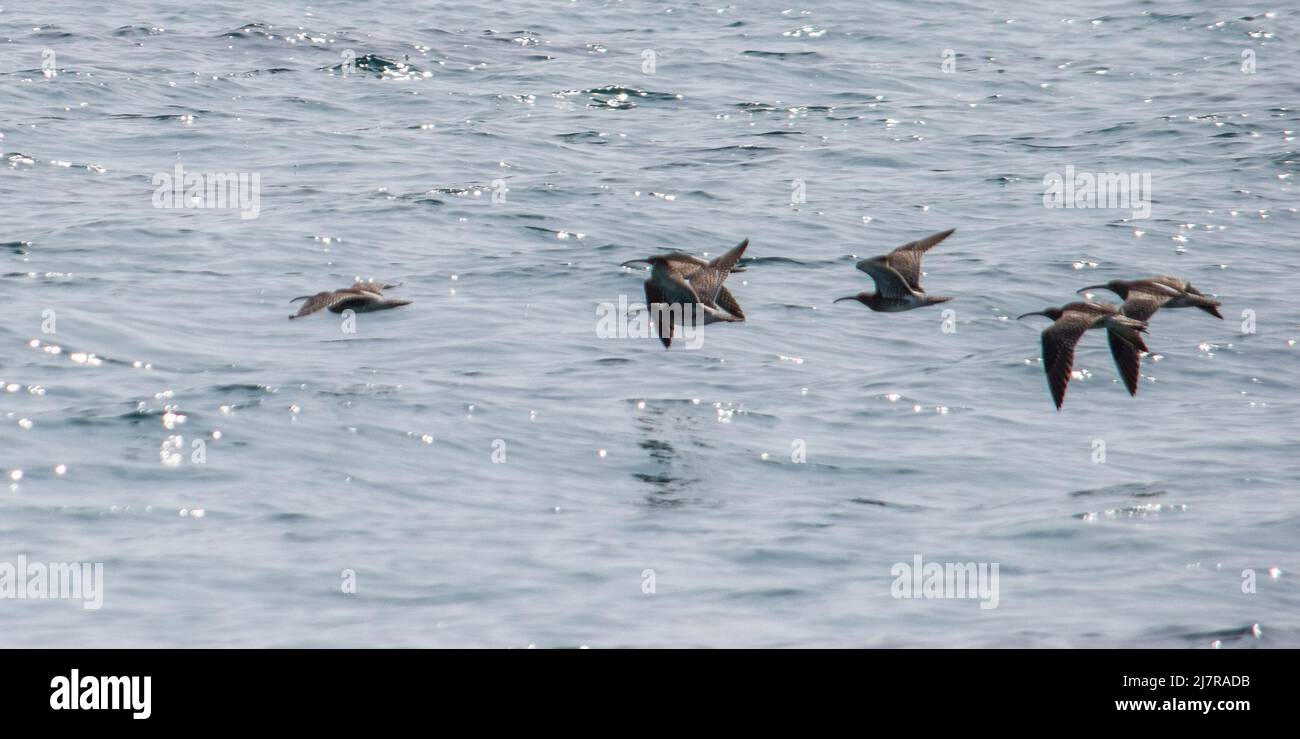 Vault Beach 290422 Stock Photo - Alamy
