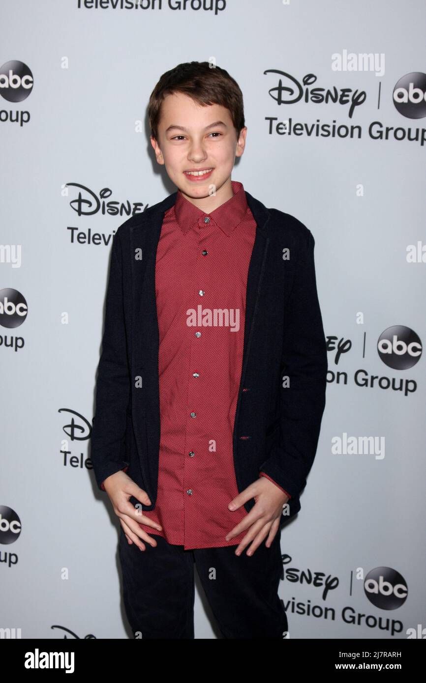 LOS ANGELES - JAN 17: Hayden Byerly at the Disney-ABC Television Group ...