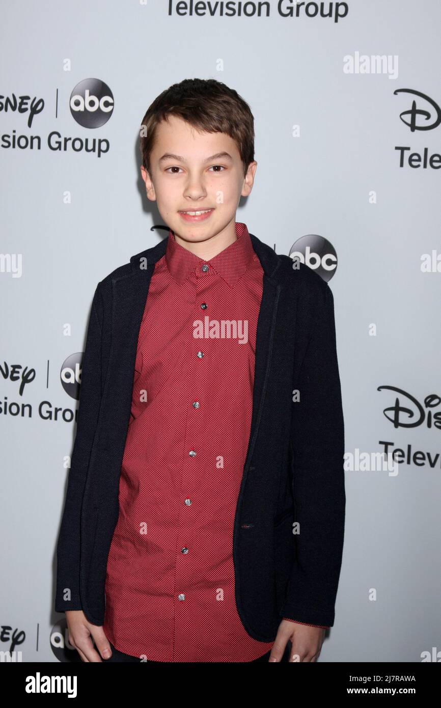 LOS ANGELES - JAN 17: Hayden Byerly at the Disney-ABC Television Group ...