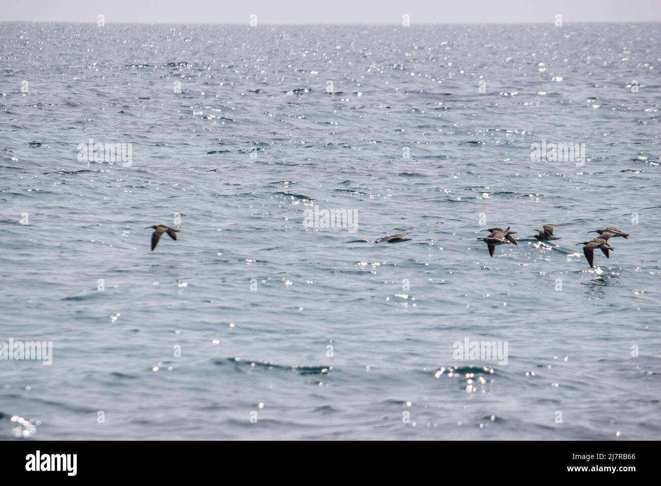 Vault Beach 290422 Stock Photo - Alamy