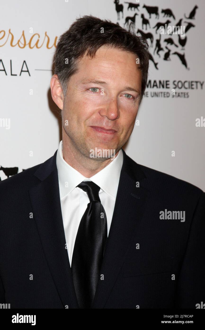 LOS ANGELES - MAR 29: George Newbern at the Humane Society Of The ...