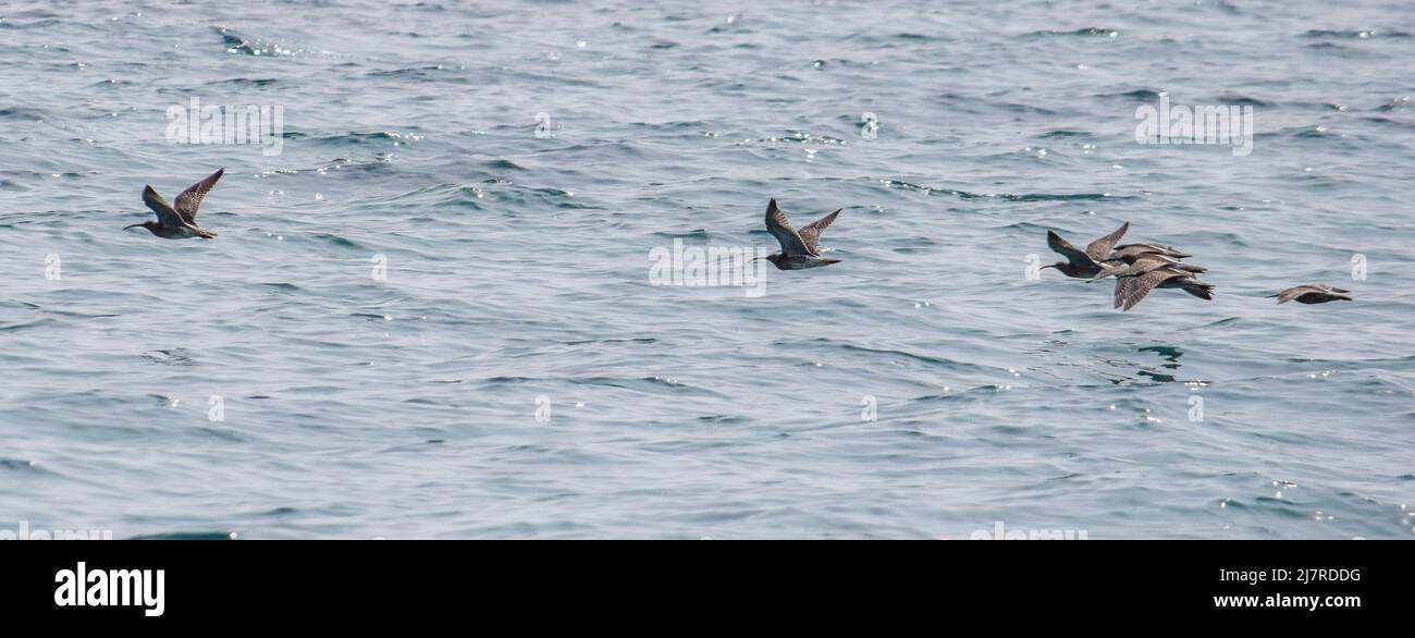 Vault Beach 290422 Stock Photo - Alamy