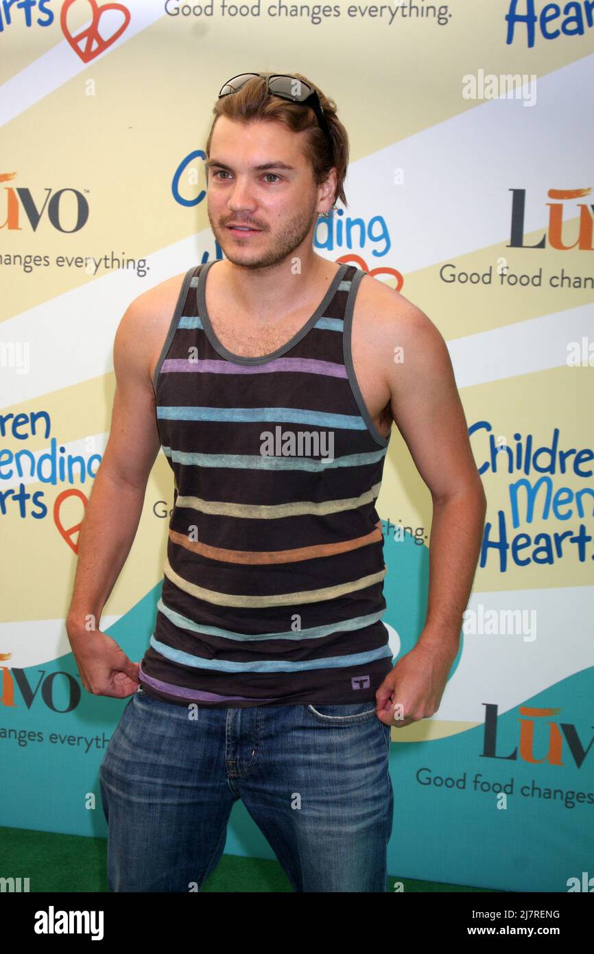 LOS ANGELES - JUN 14: Emile Hirsch at the Children Mending Hearts 6th ...