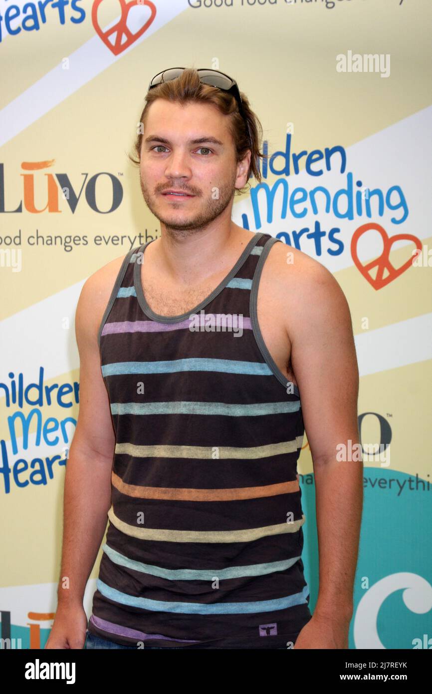 LOS ANGELES - JUN 14: Emile Hirsch at the Children Mending Hearts 6th ...