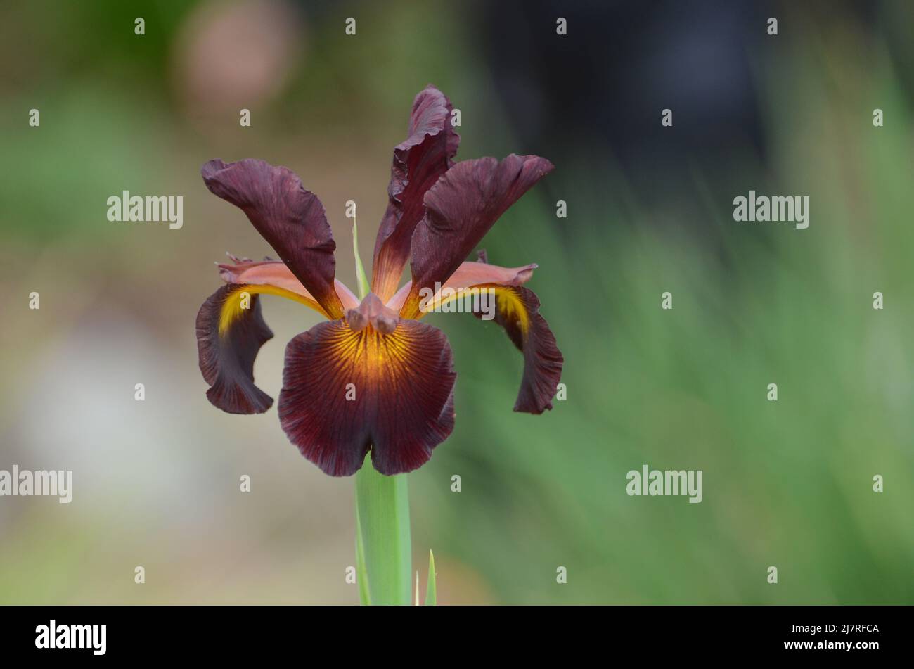 No manipulations hi-res stock photography and images - Alamy