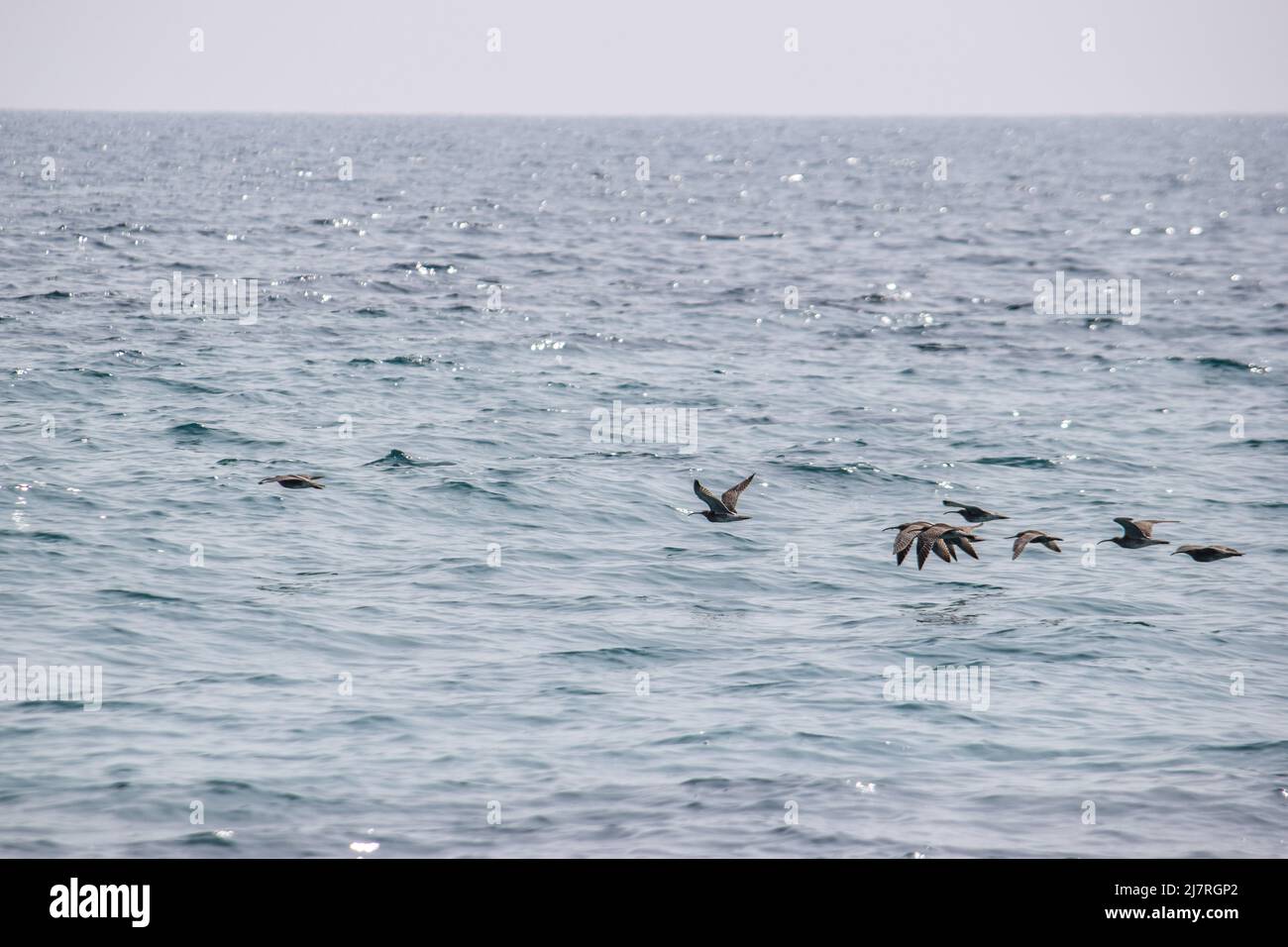 Vault Beach 290422 Stock Photo - Alamy