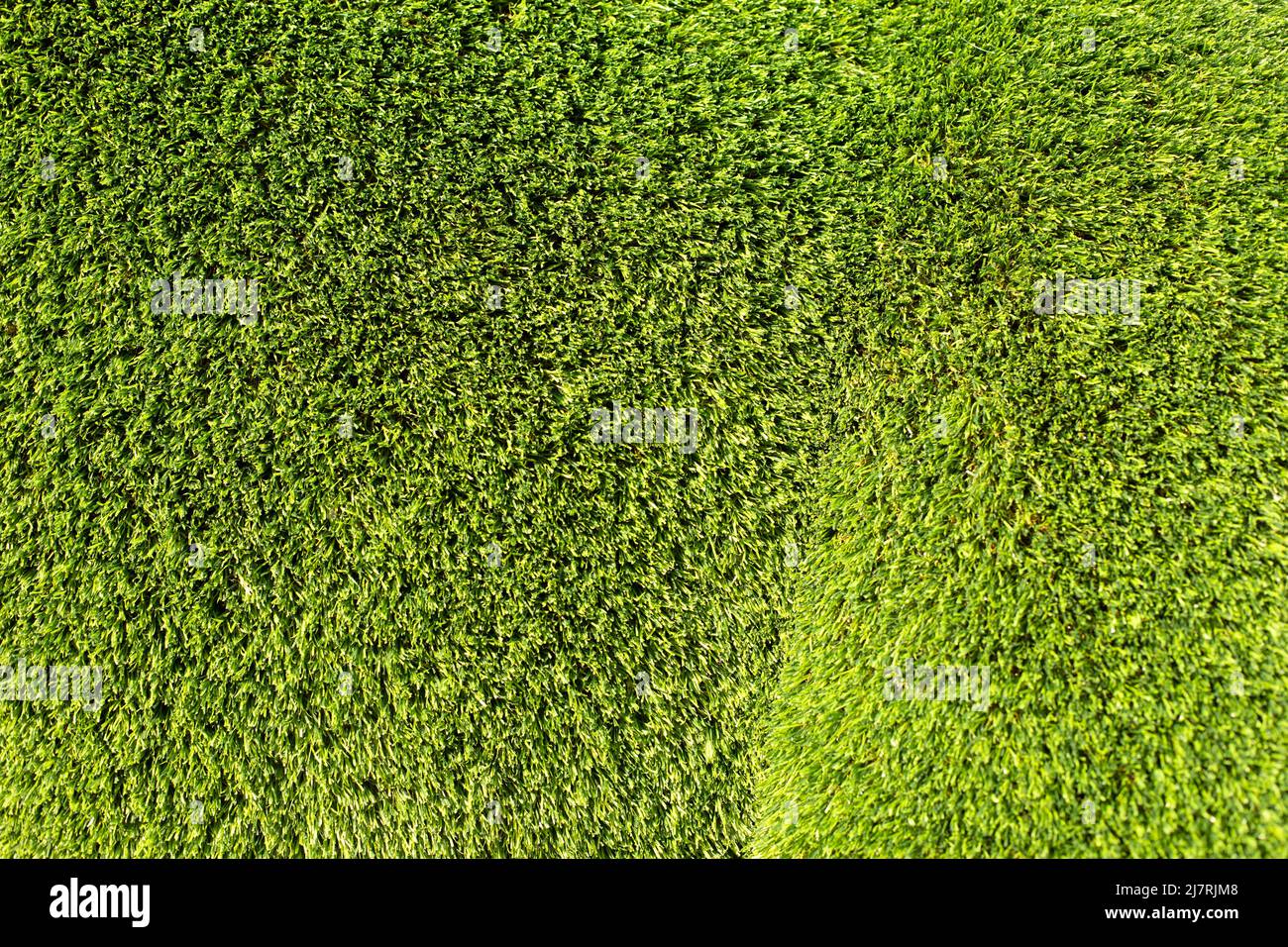 Green grass texture. Shallow lawn. Material imitates plants Stock Photo ...