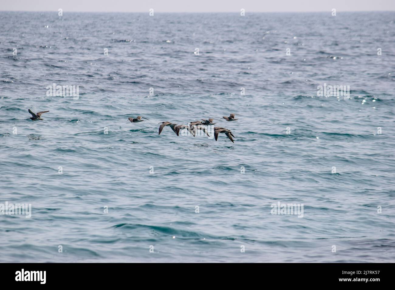 Vault Beach 290422 Stock Photo - Alamy