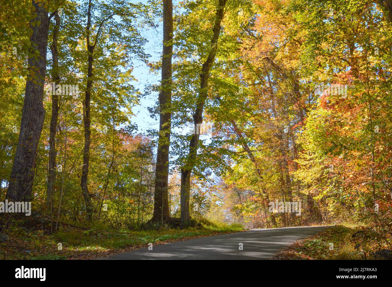 Beautiful Fall Foliage lake fall autumn fall PARK Stock Photo - Alamy