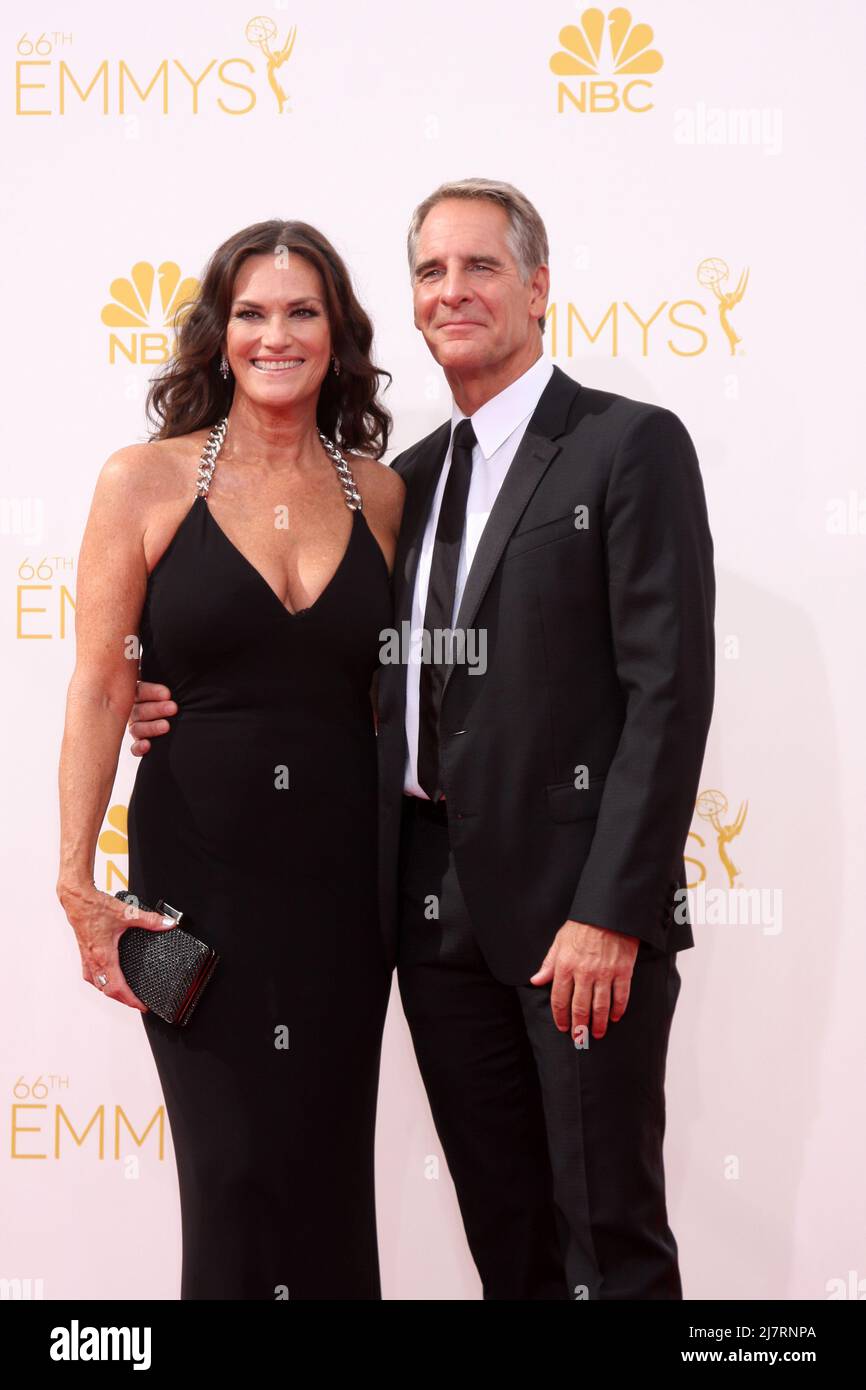 Chelsea field scott bakula hi-res stock photography and images - Alamy