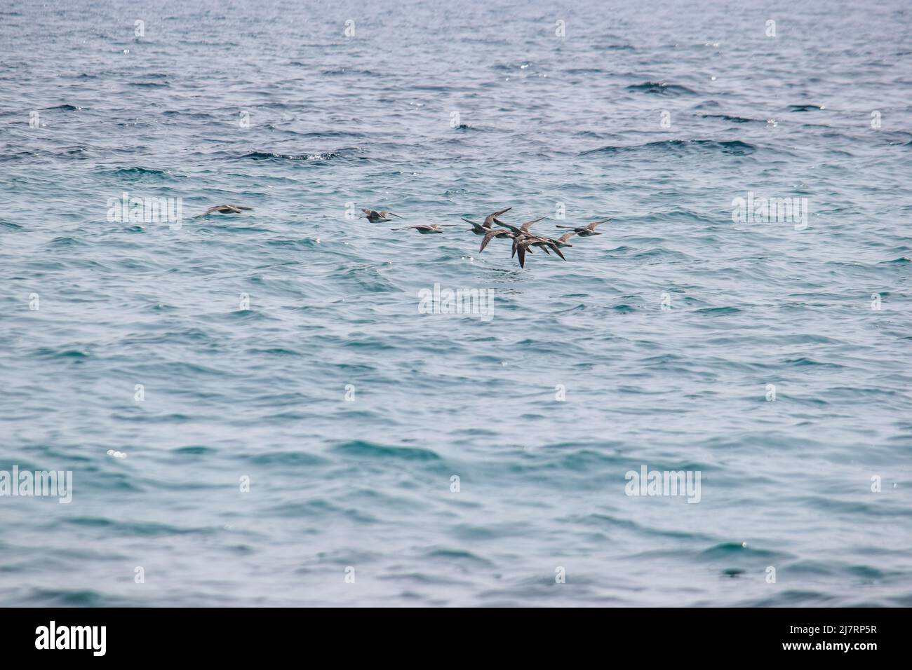 Vault Beach 290422 Stock Photo - Alamy